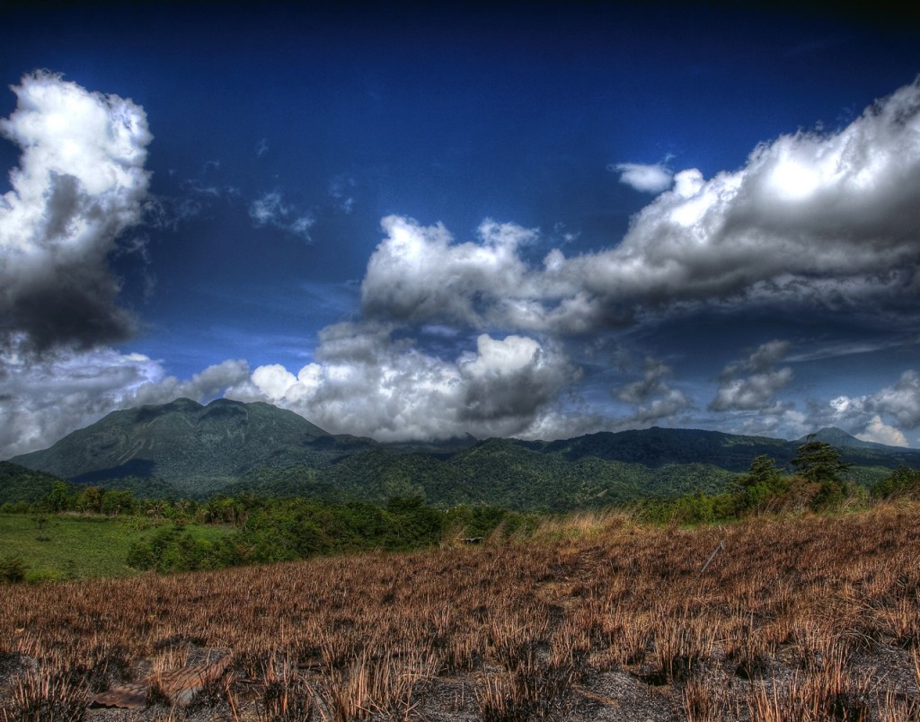 International Society of Tropical Foresters 2012 Photo Contest – SAGE