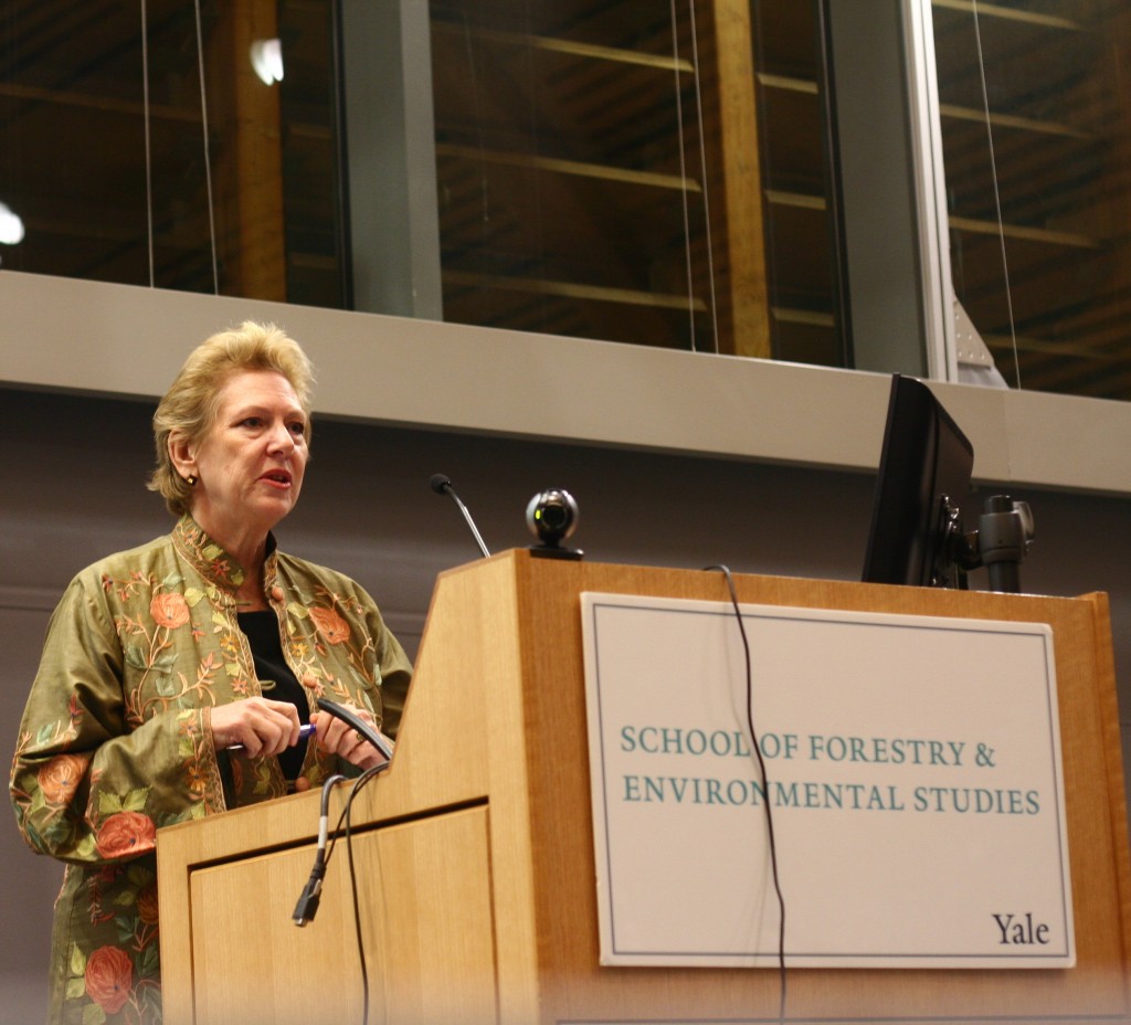 Seeing the Forest for the Trees: An Interview with the UN Forum on ...